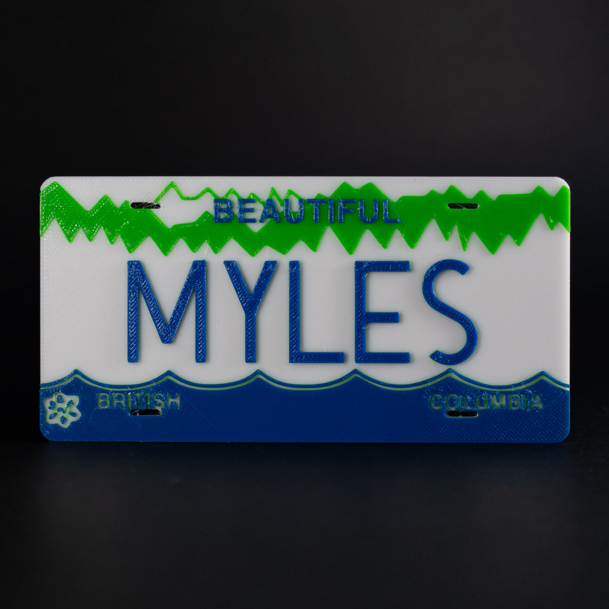 Replica BC License Plate – YGK3D